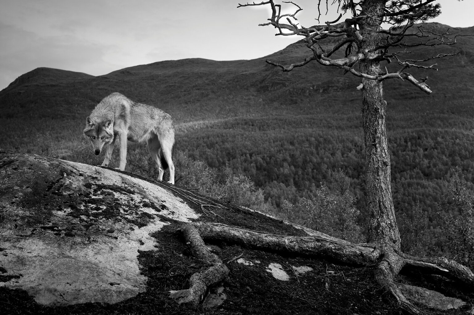 Ostra, Echoes of Utopia by Christian Houge - Contemporary photography ...