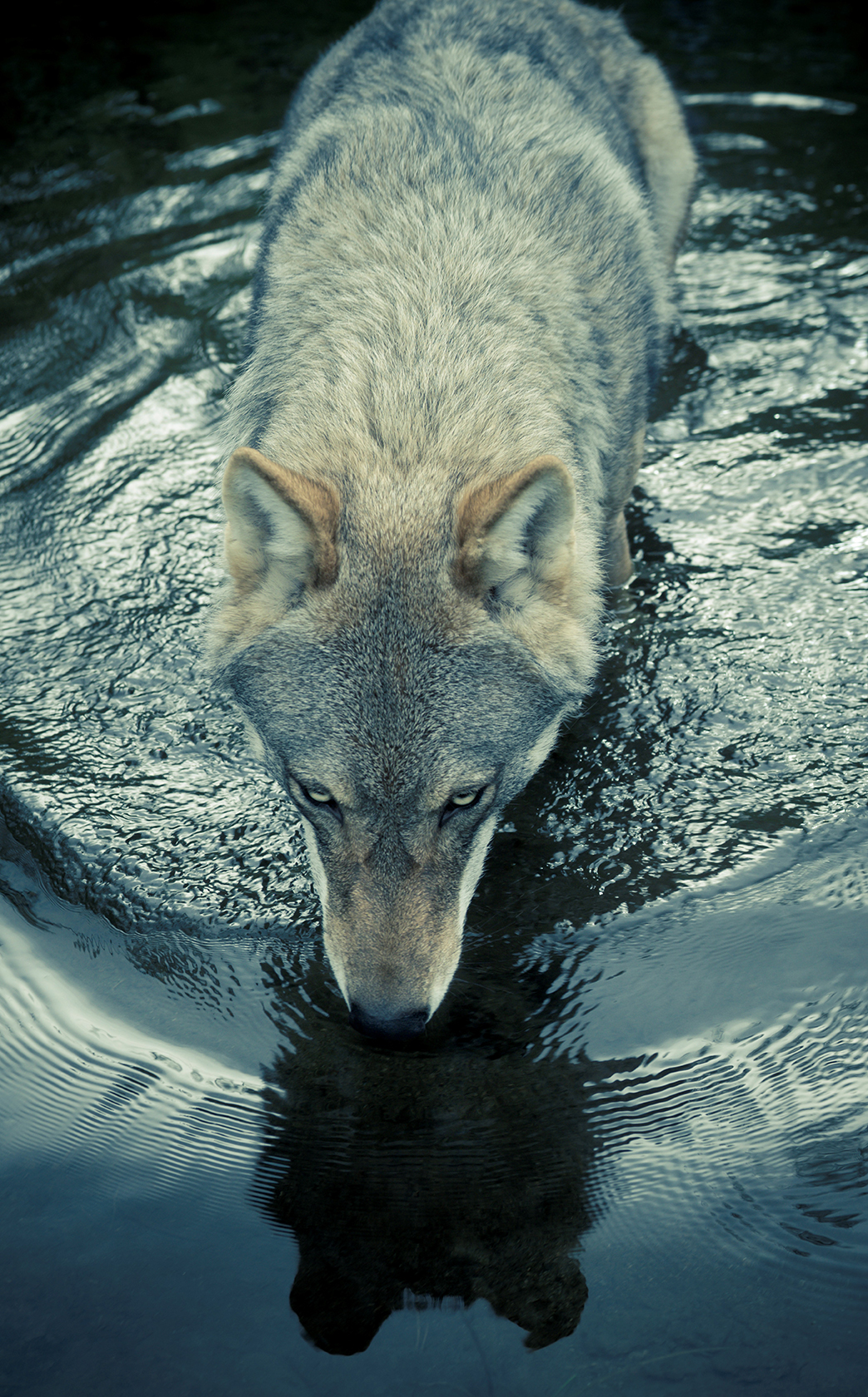Untitled 2, Shadow Within, Norway/USA | Contemporary photography by ...