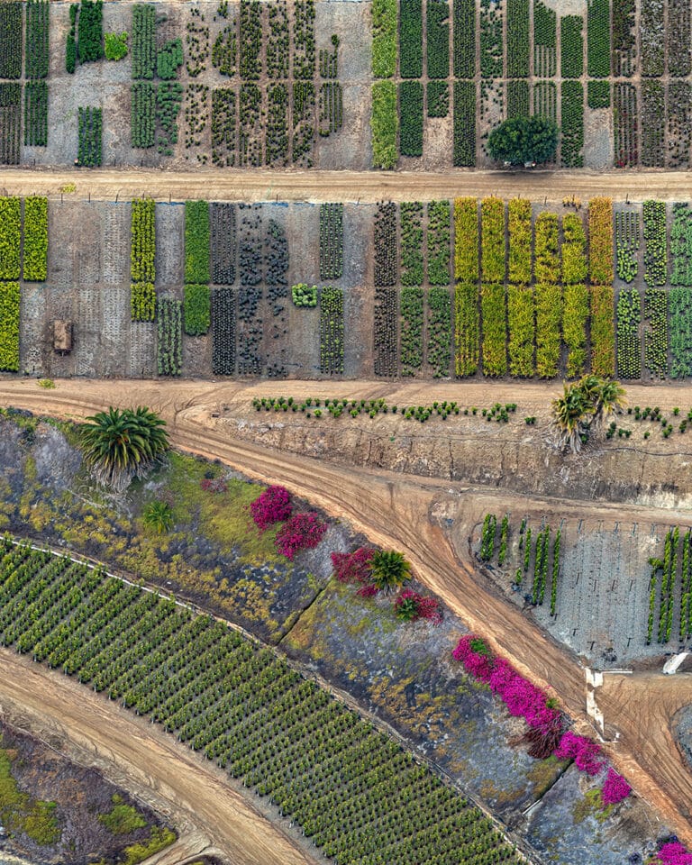 Aerial Views, California Plants 016 | Contemporary photography by ...