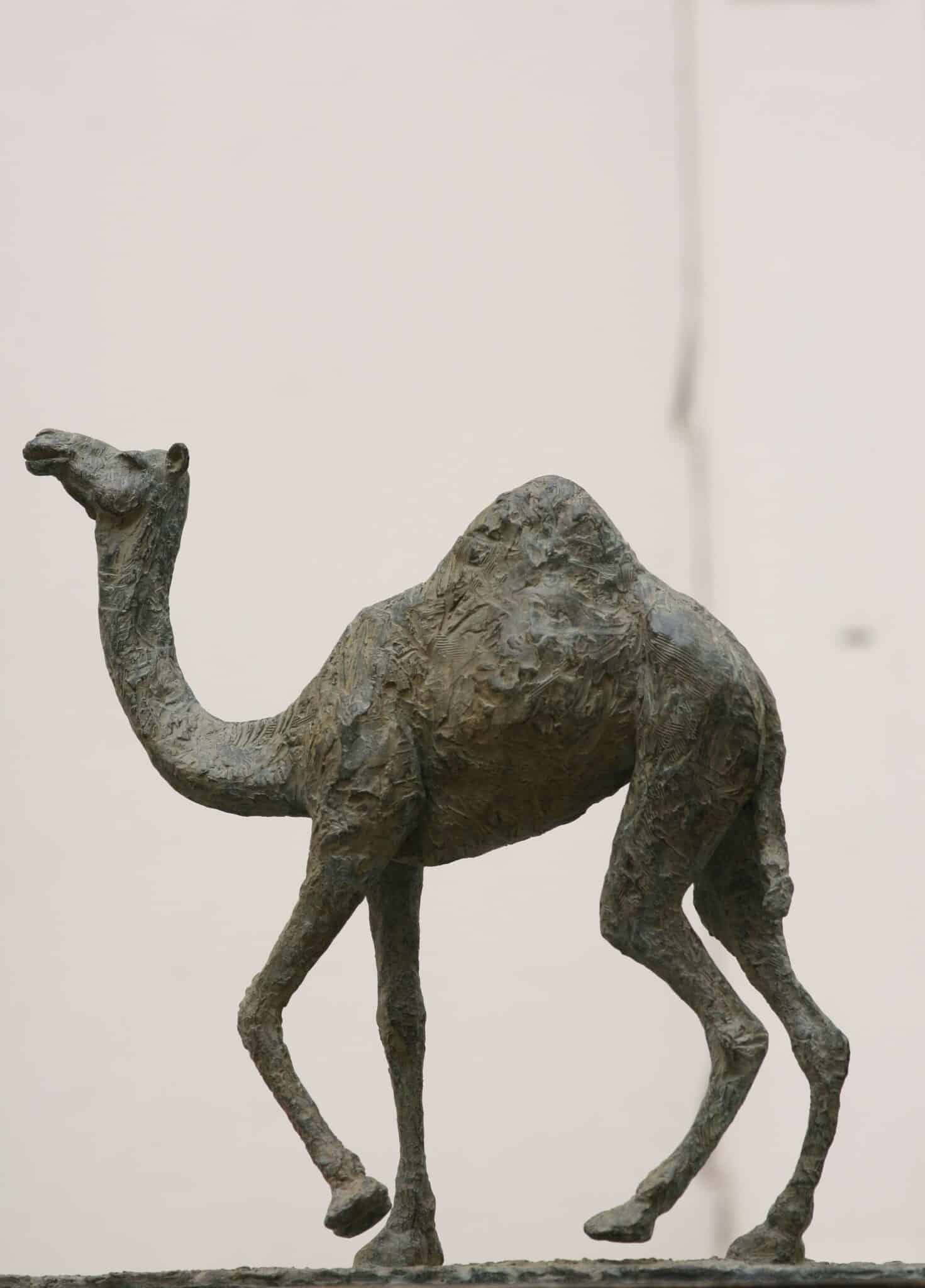 Camel | Contemporary sculpture by Marine de Soos for Sale at Artistics