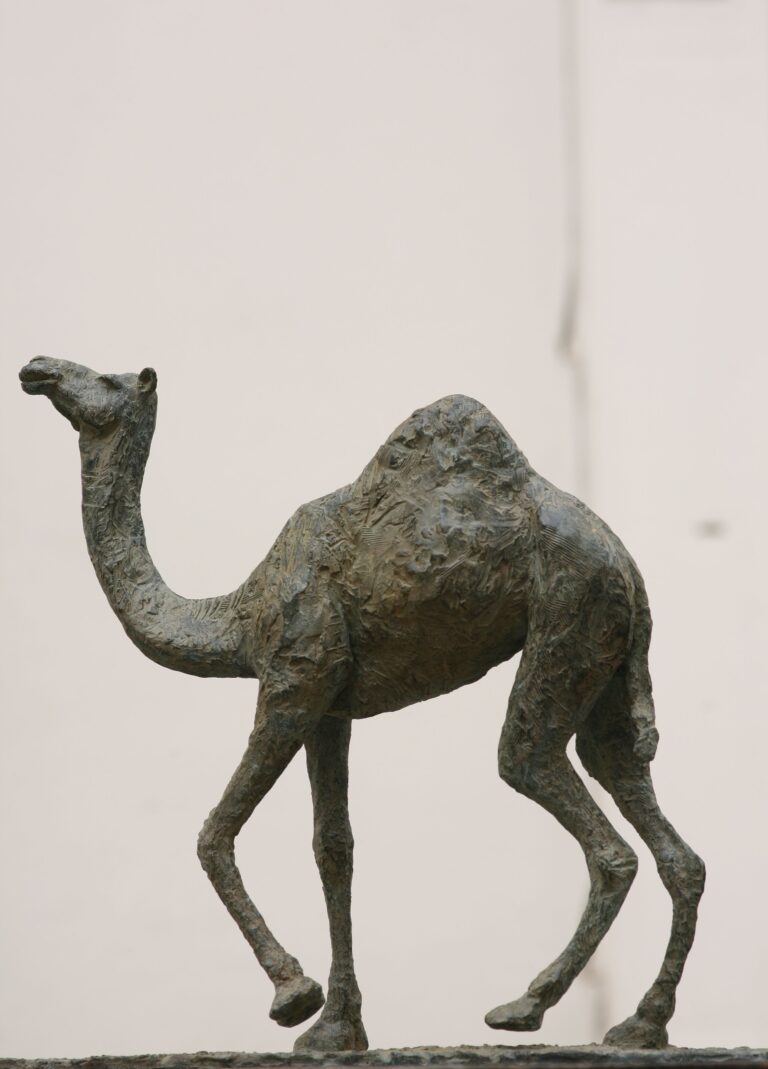 Camel | Contemporary sculpture by Marine de Soos for Sale at Artistics