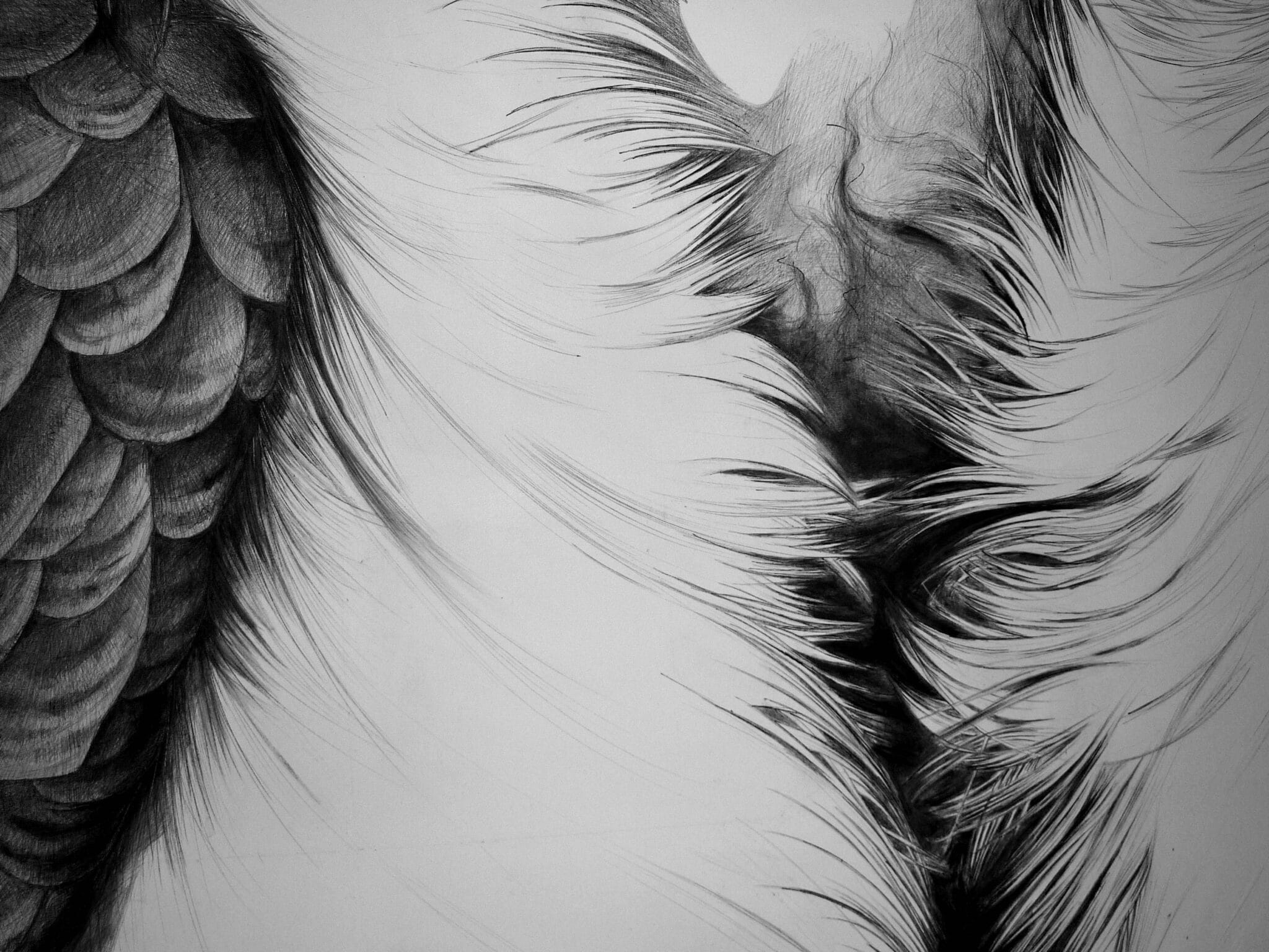 English judge | Contemporary drawing by Cécile Bisciglia for Sale at ...