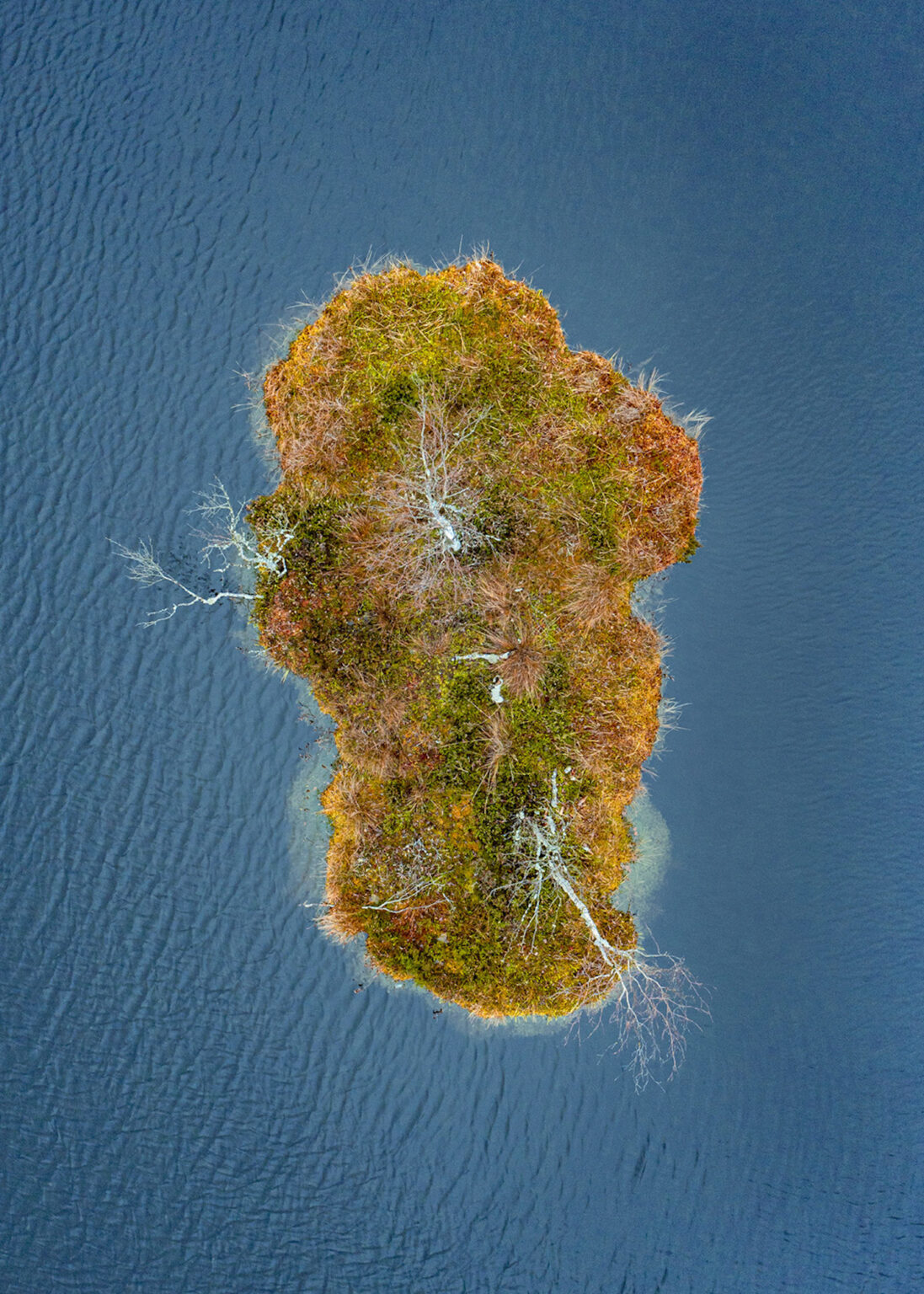 Aerial Views, Mar Del Plastico 02 | Contemporary photography by ...