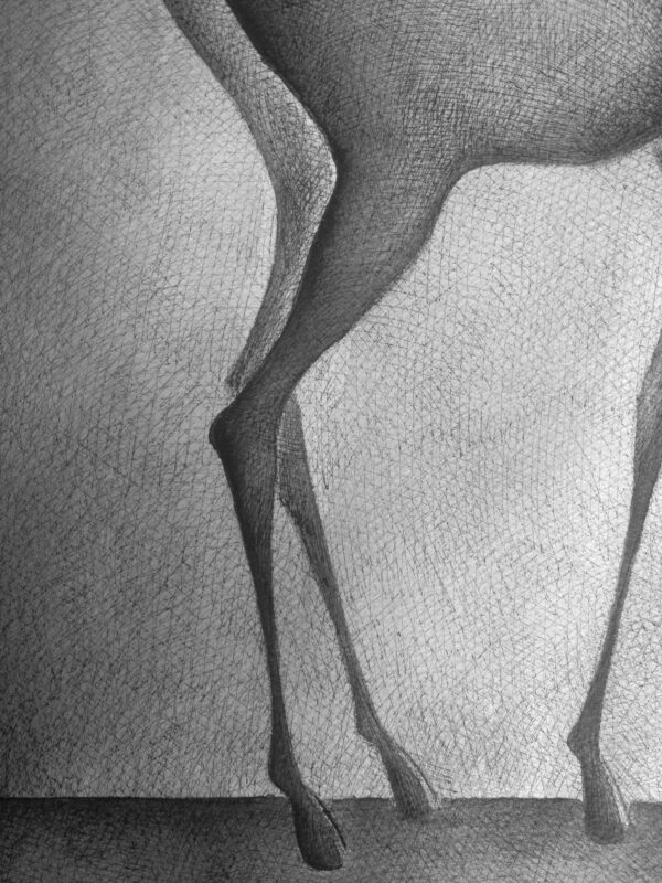 Gazelle II, Drawings series | Contemporary painting by Pierre Yermia ...
