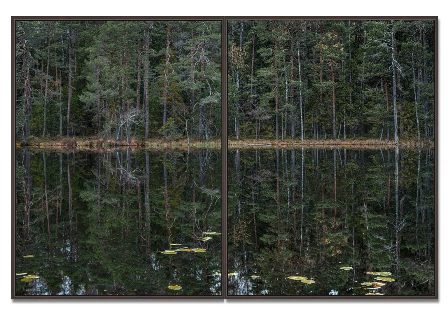 Deep Mirroring Forest 011 | Artistics