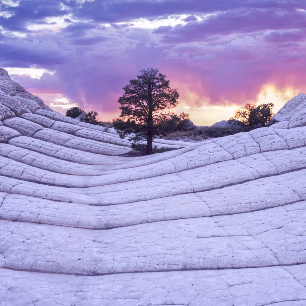 Strata XVII | Contemporary photography by Luca Marziale for Sale at ...