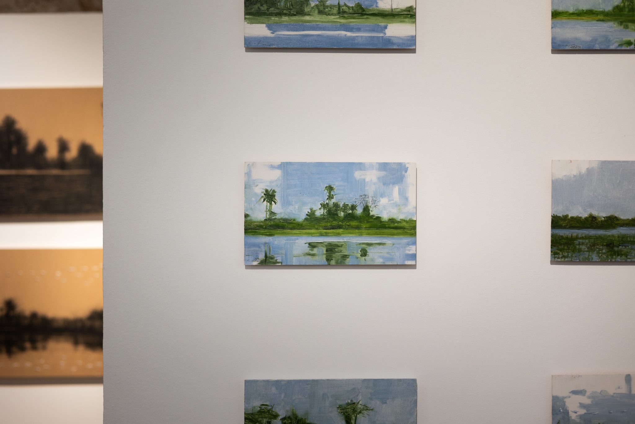 Installation of 6 African Landscape Paintings (Casamance Series) by ...