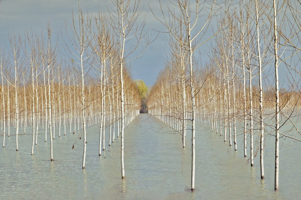 PO 07-22 by Riccardo Varini - Contemporary photography | Artistics