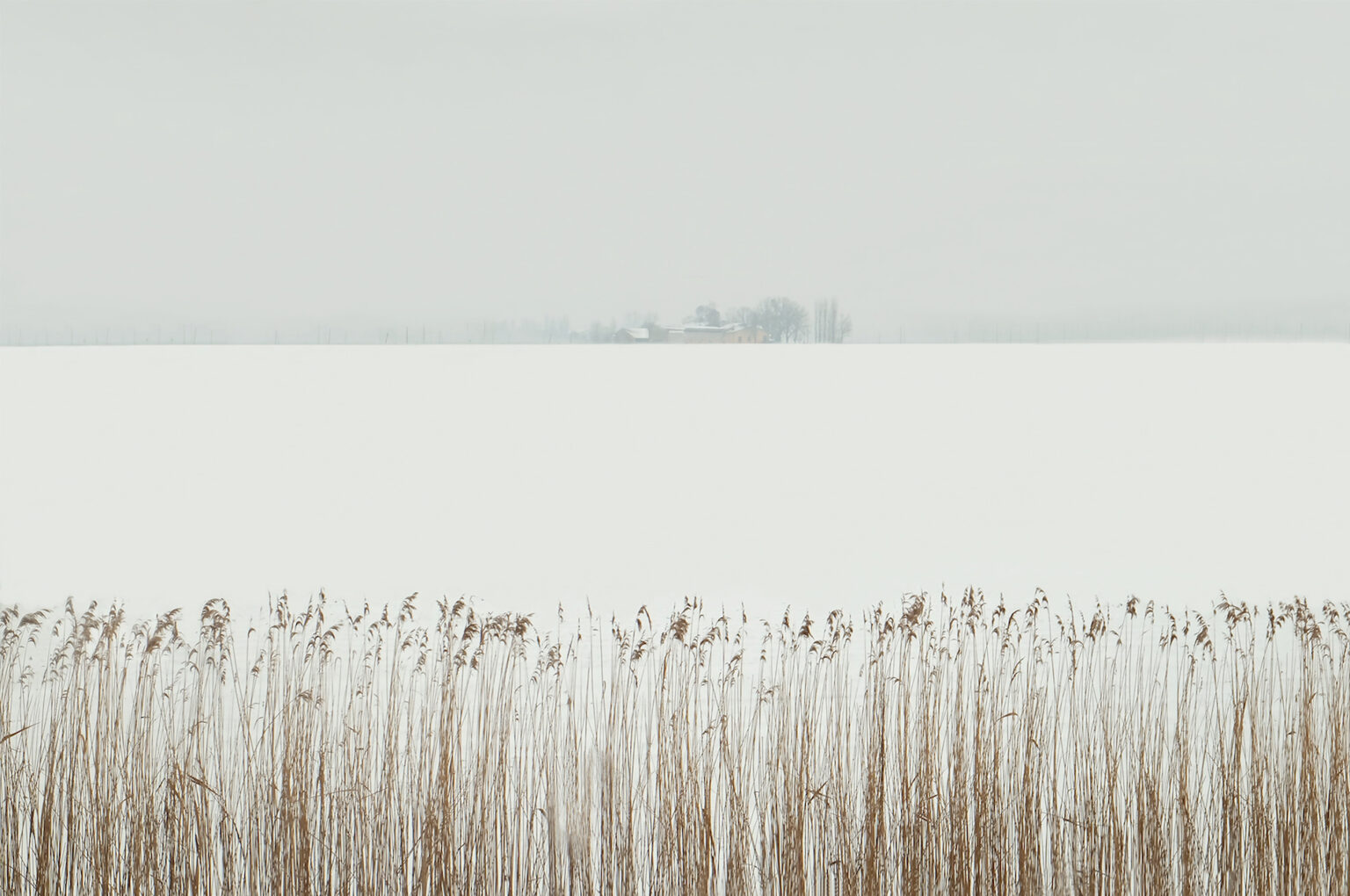 H 14-15 by Riccardo Varini - Contemporary photography | Artistics