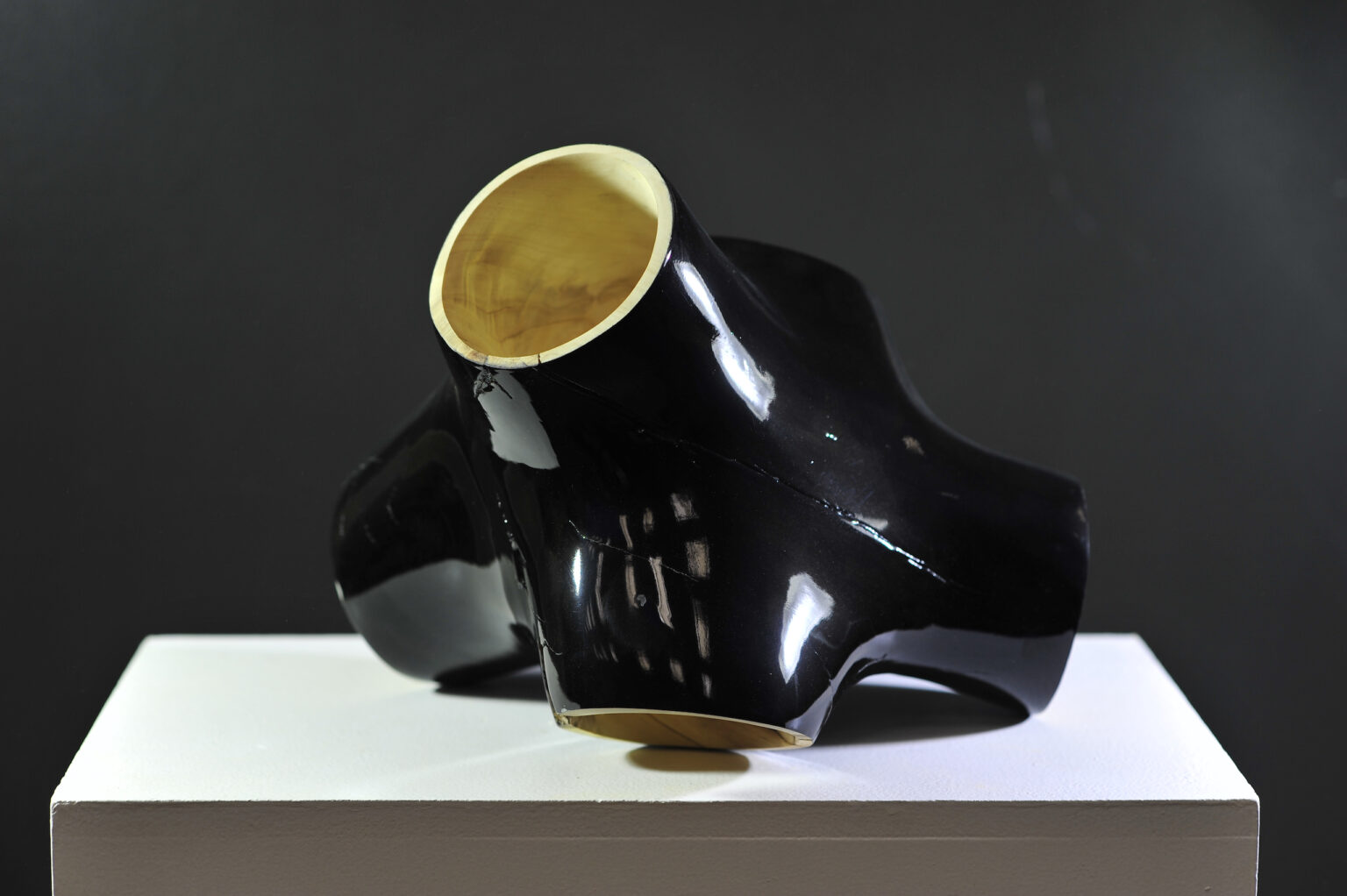Biosphere II by Wouter van der Vlugt - Contemporary sculpture | Artistics