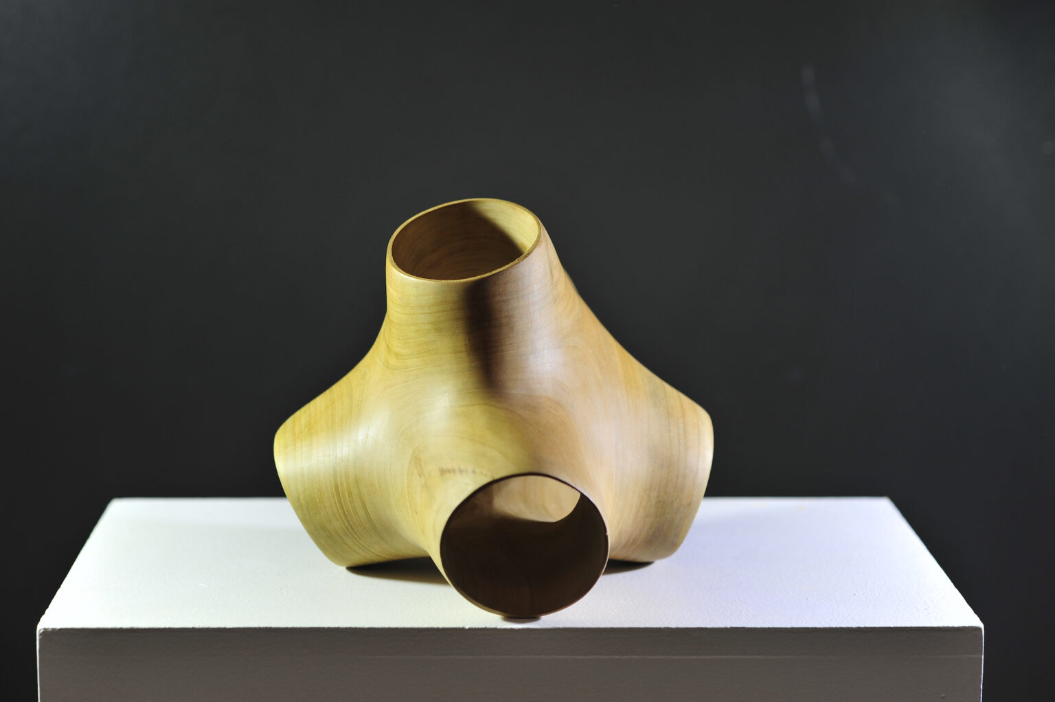 Junction II by Wouter van der Vlugt - Contemporary sculpture | Artistics