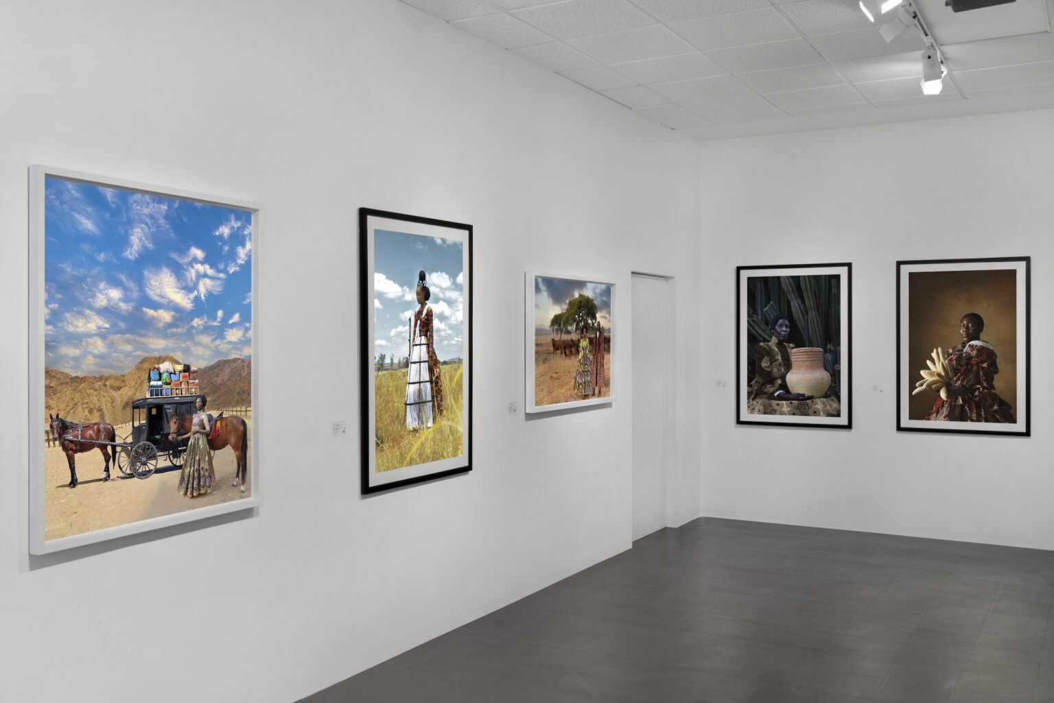 Victorian Armour by Tamary Kudita - Contemporary photography | Artistics